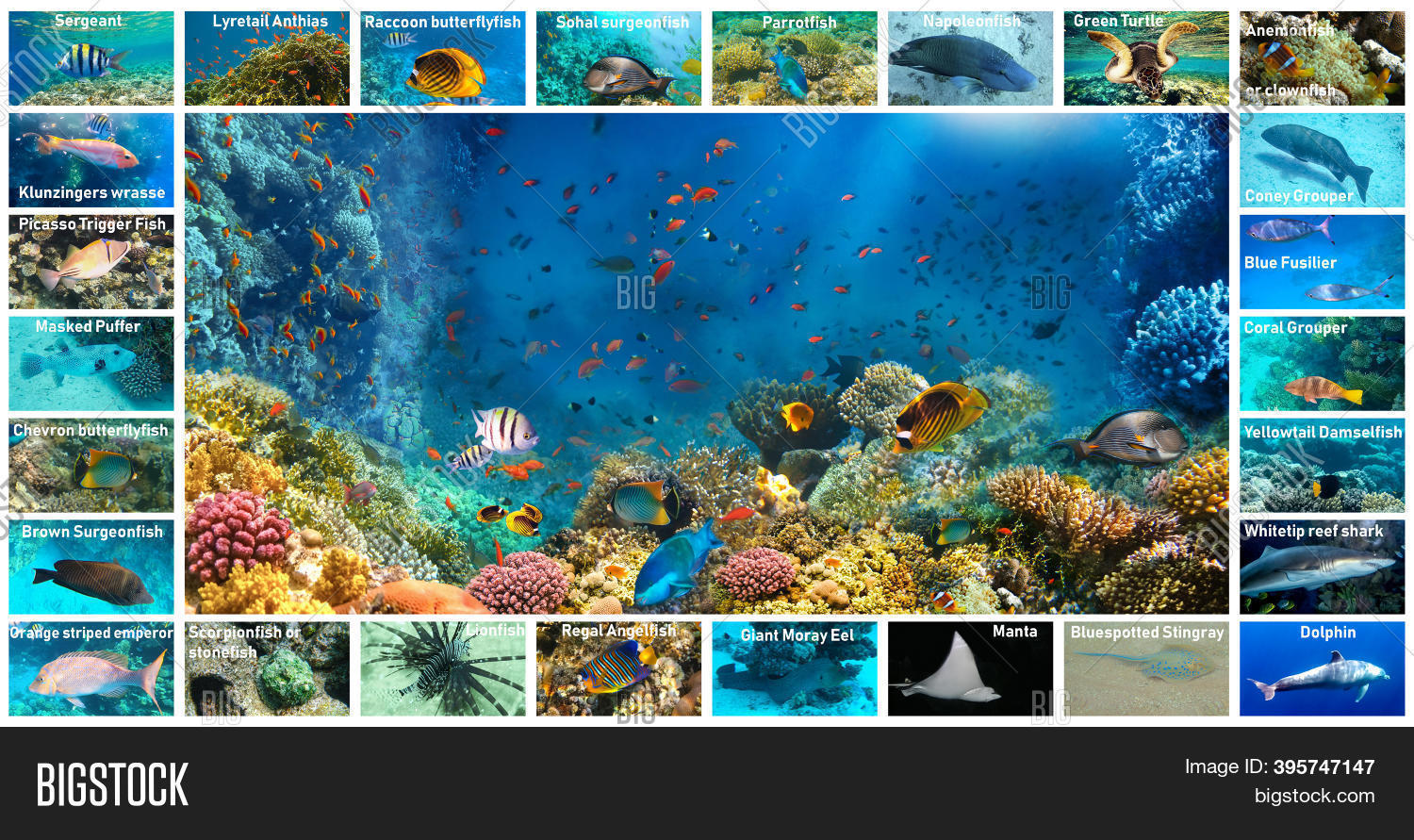 Underwater Atlas Image & Photo (Free Trial) | Bigstock