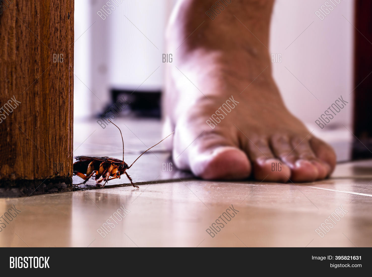 Bare Foot Stepping On Image & Photo (Free Trial) | Bigstock