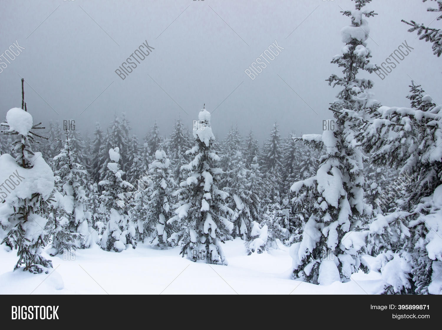 Winter Panorama Image & Photo (Free Trial) | Bigstock