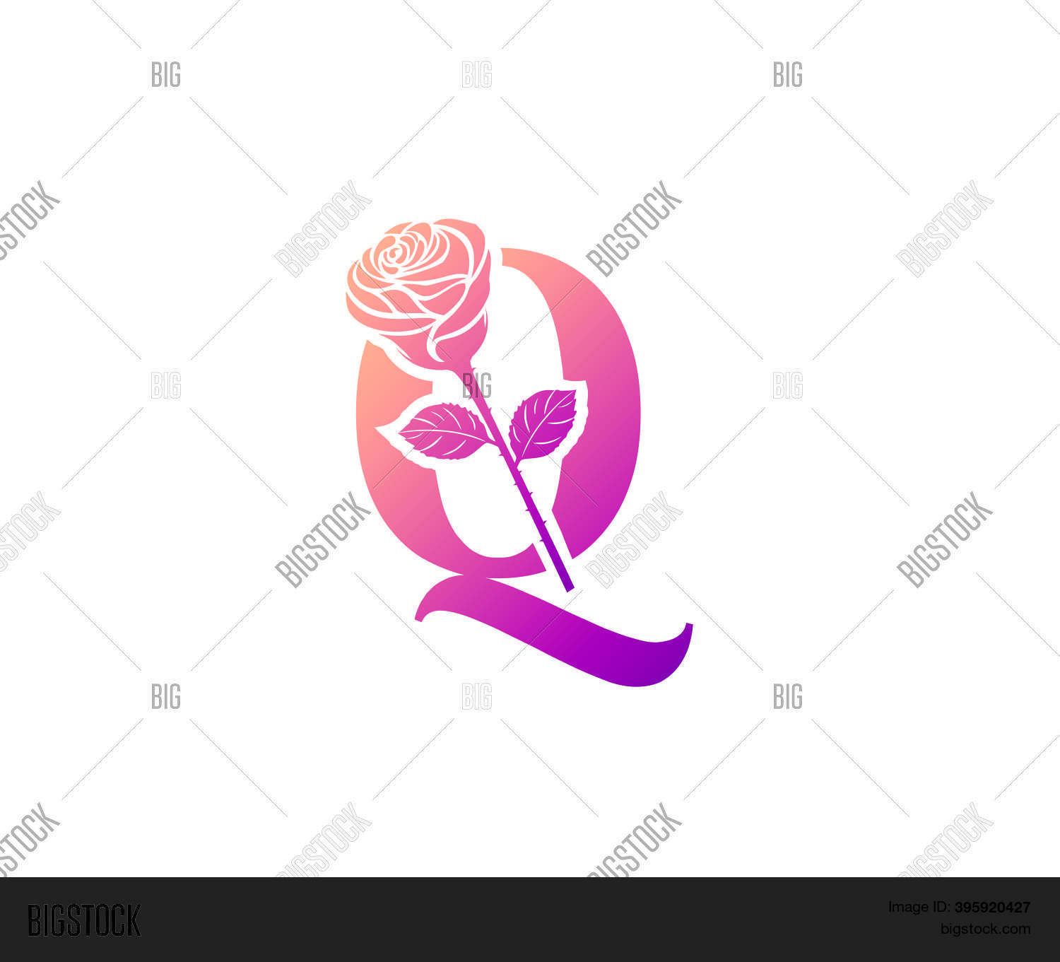 Beauty Rose Q Letter Vector & Photo (Free Trial) | Bigstock