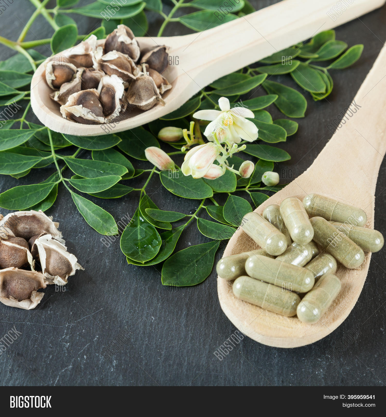 Tree Life-moringa Image & Photo (Free Trial) | Bigstock