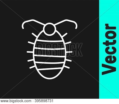 White Line Larva Vector & Photo (Free Trial) | Bigstock