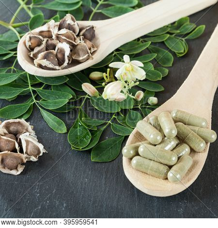 Tree Life-moringa Image & Photo (Free Trial) | Bigstock