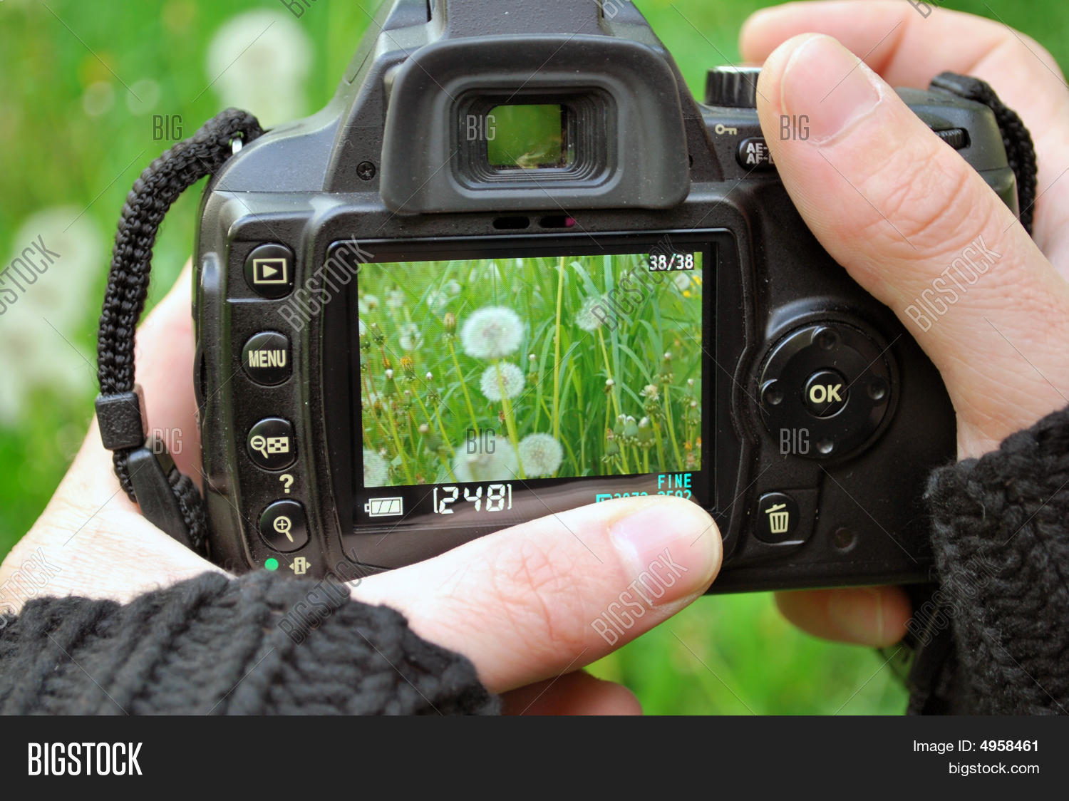 Camera Display Plants Image & Photo (Free Trial) | Bigstock