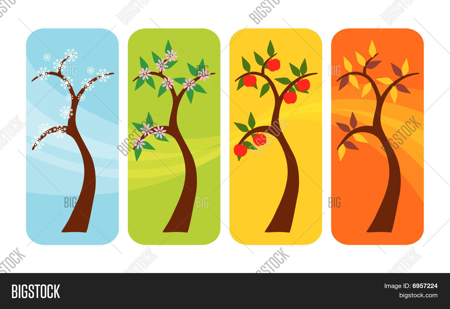 Four Seasons Tree Vector & Photo (Free Trial) | Bigstock