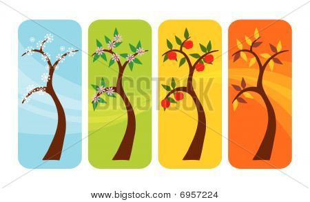 Four Seasons Tree Vector & Photo (Free Trial) | Bigstock