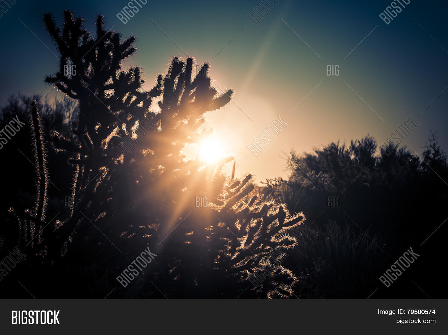 Sunrise Over Desert - Image & Photo (Free Trial) | Bigstock