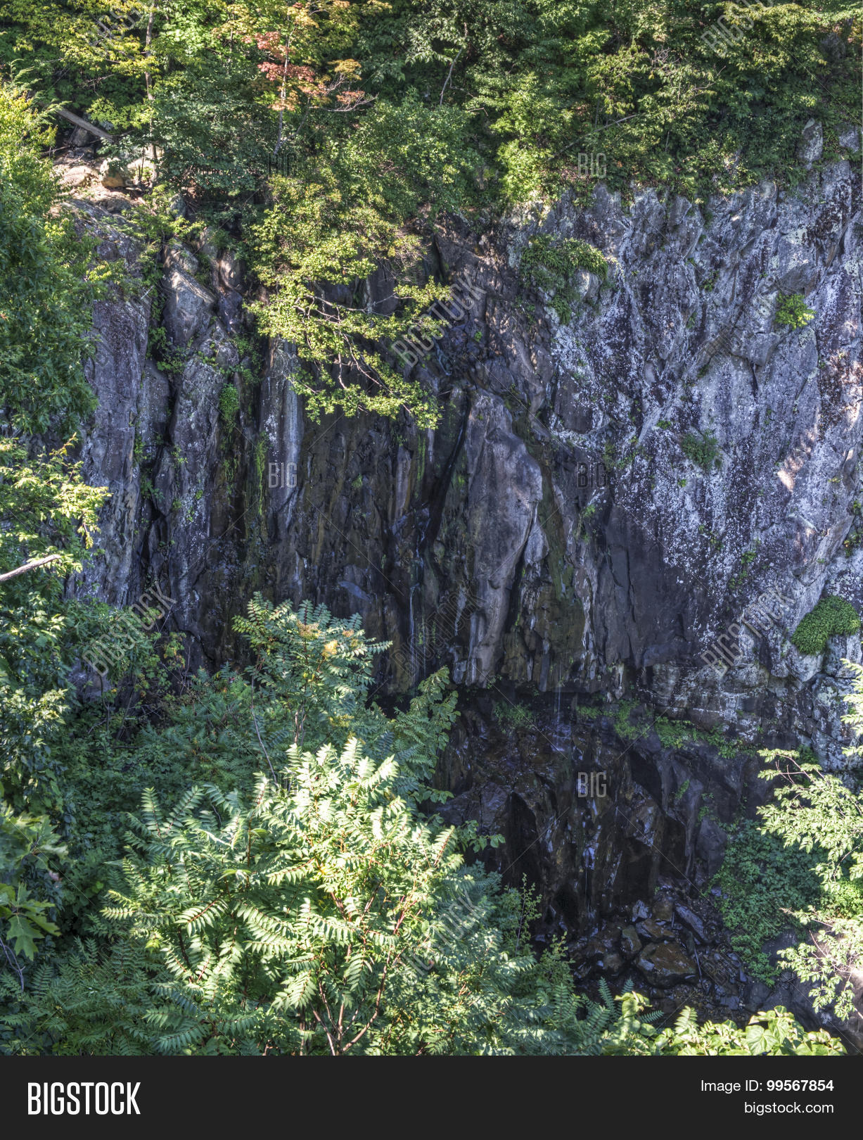 Overall Run Falls Image & Photo (Free Trial) | Bigstock