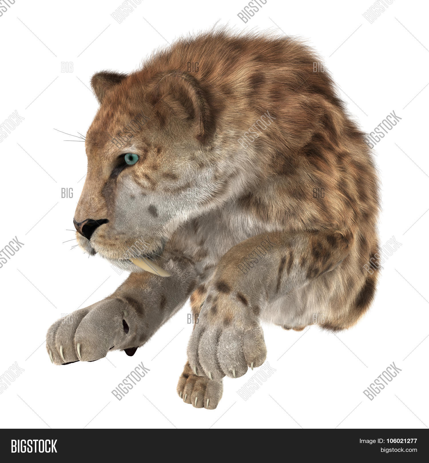 Big Cat Sabertooth Image & Photo (Free Trial) | Bigstock