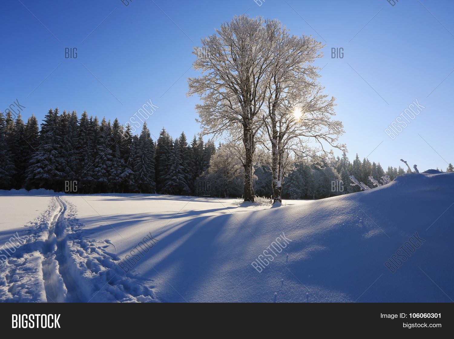 Winter Landscape Snow Image & Photo (Free Trial) | Bigstock