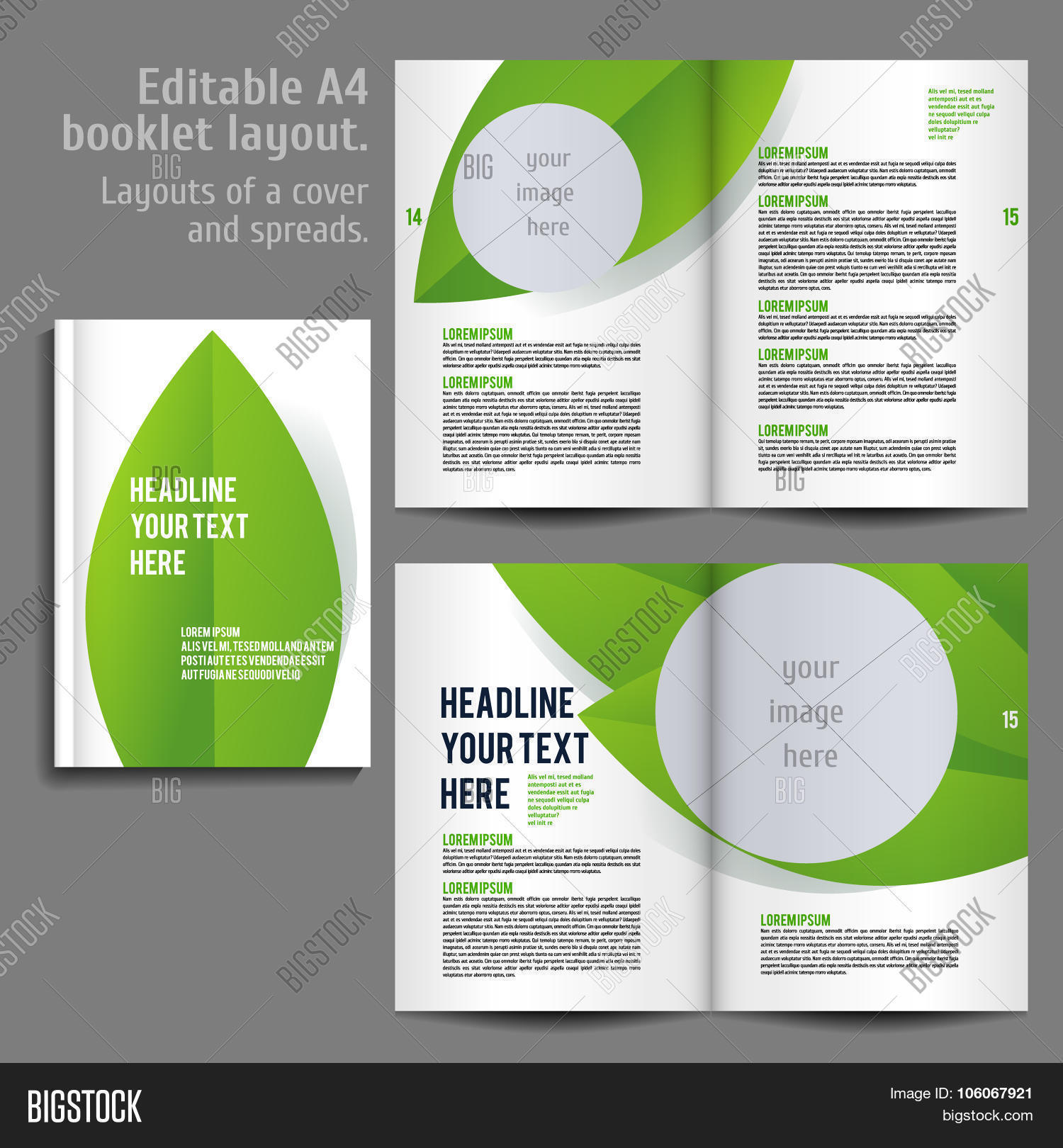 A4 Book Layout Design Vector & Photo (Free Trial) | Bigstock