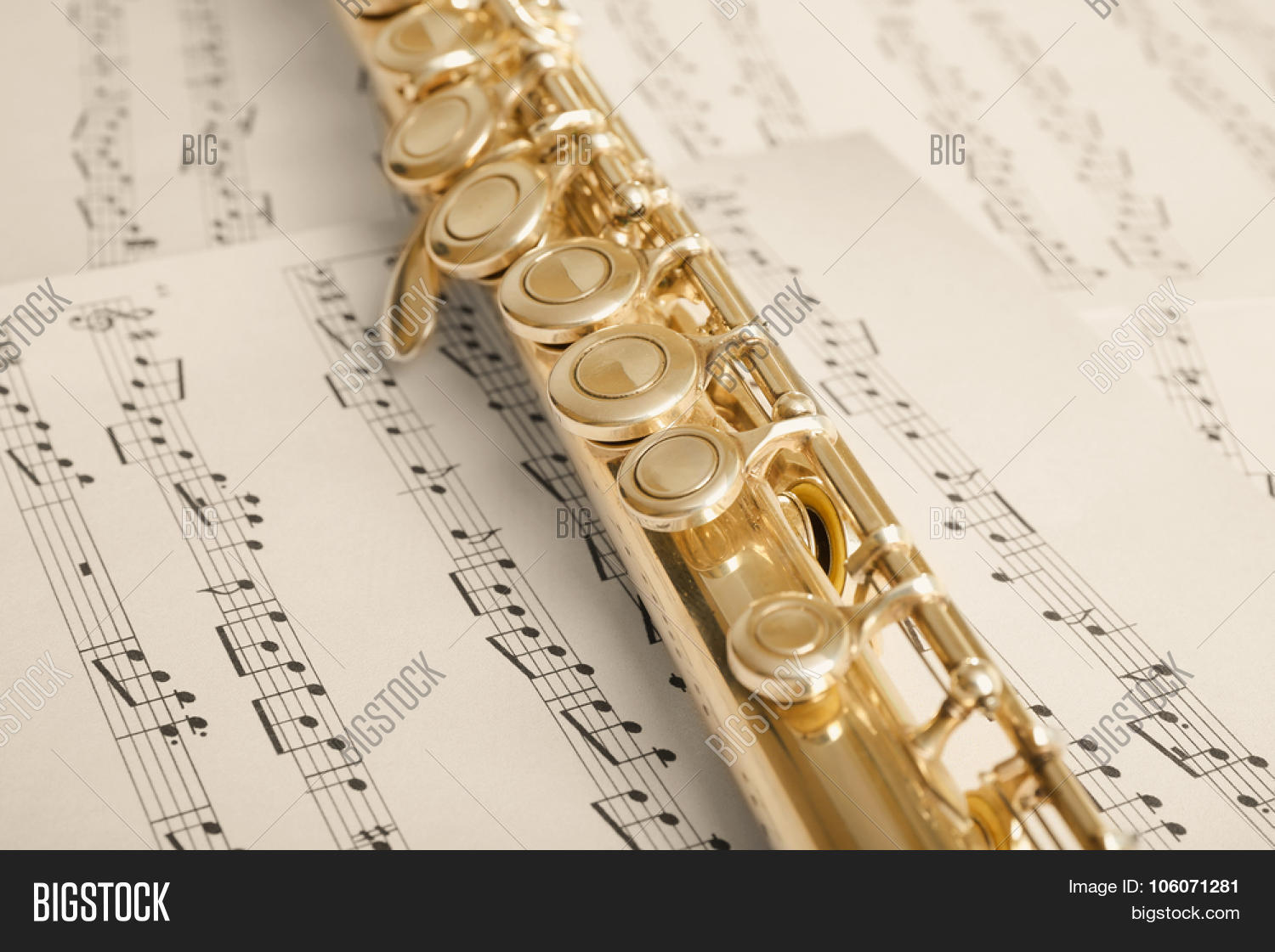 Flute On Music Notes Image & Photo (Free Trial) | Bigstock