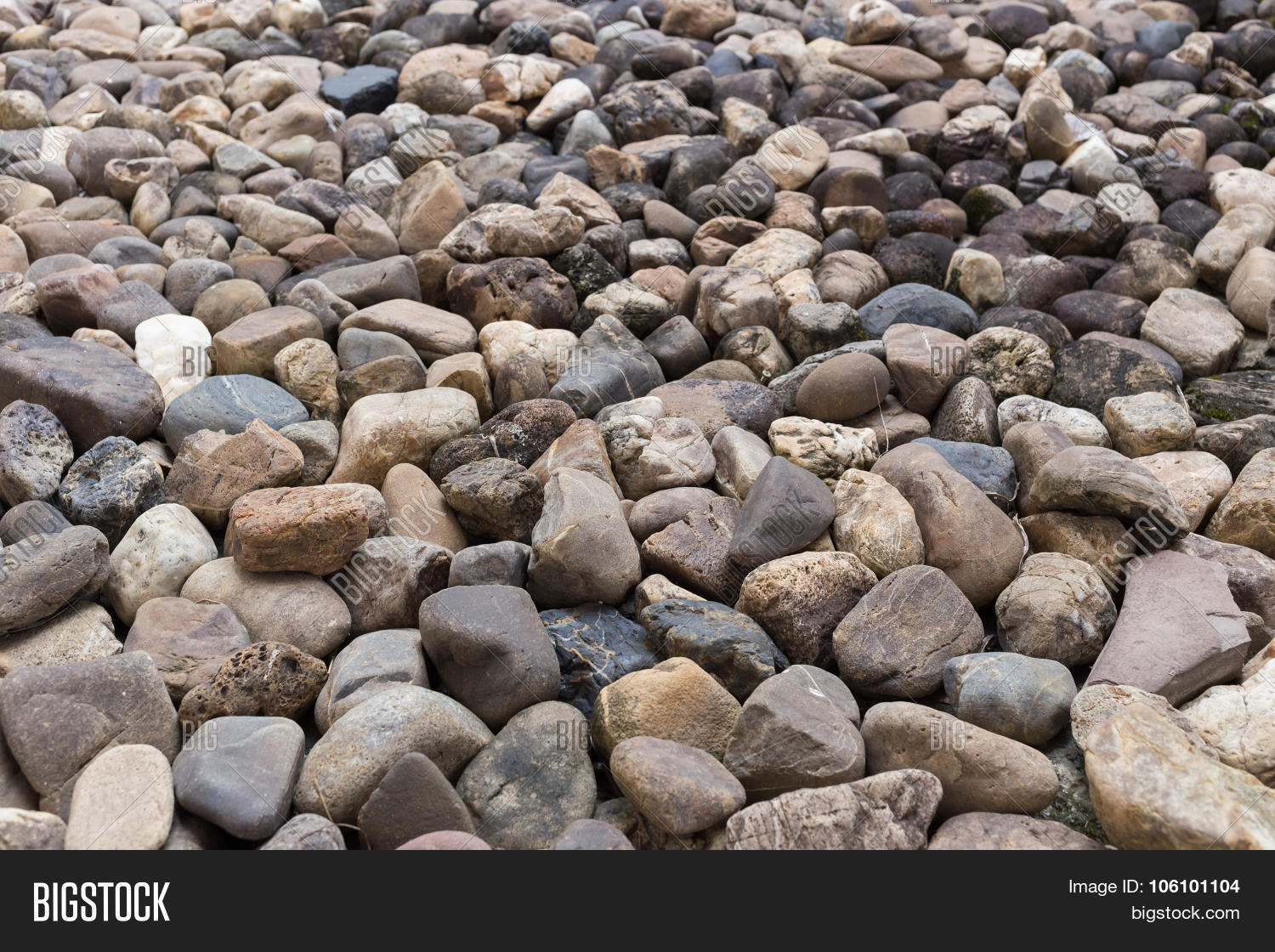 Pebble Stone Texture Image & Photo (Free Trial) | Bigstock