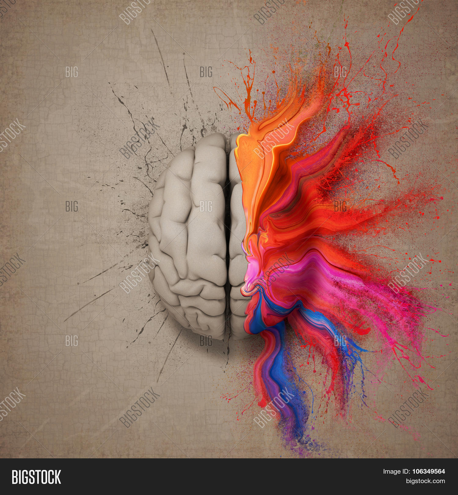 Creative Mind Brain Image & Photo (Free Trial) | Bigstock