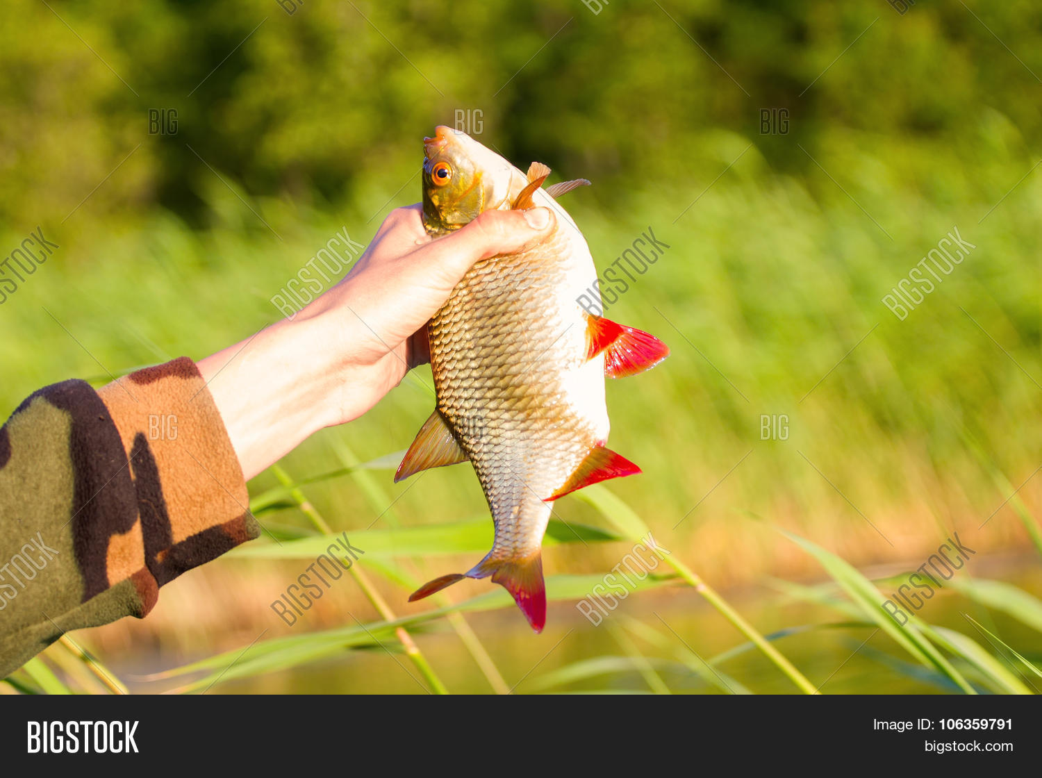 Summer Lake Fishing Image & Photo (Free Trial) | Bigstock