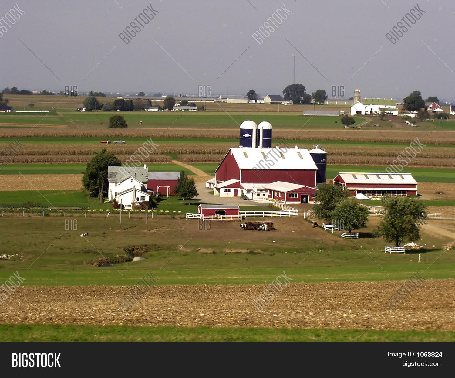 Dairy Farm Image & Photo (Free Trial) | Bigstock
