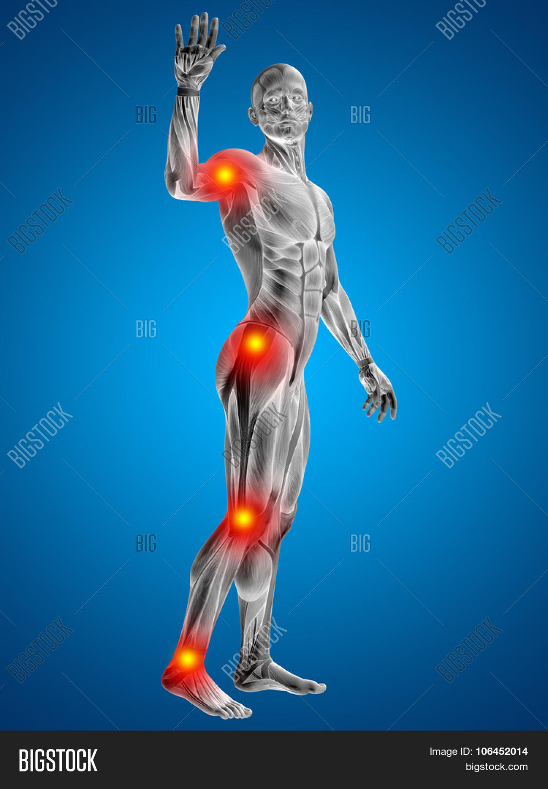 3D Human Man Muscles Image & Photo (Free Trial) | Bigstock