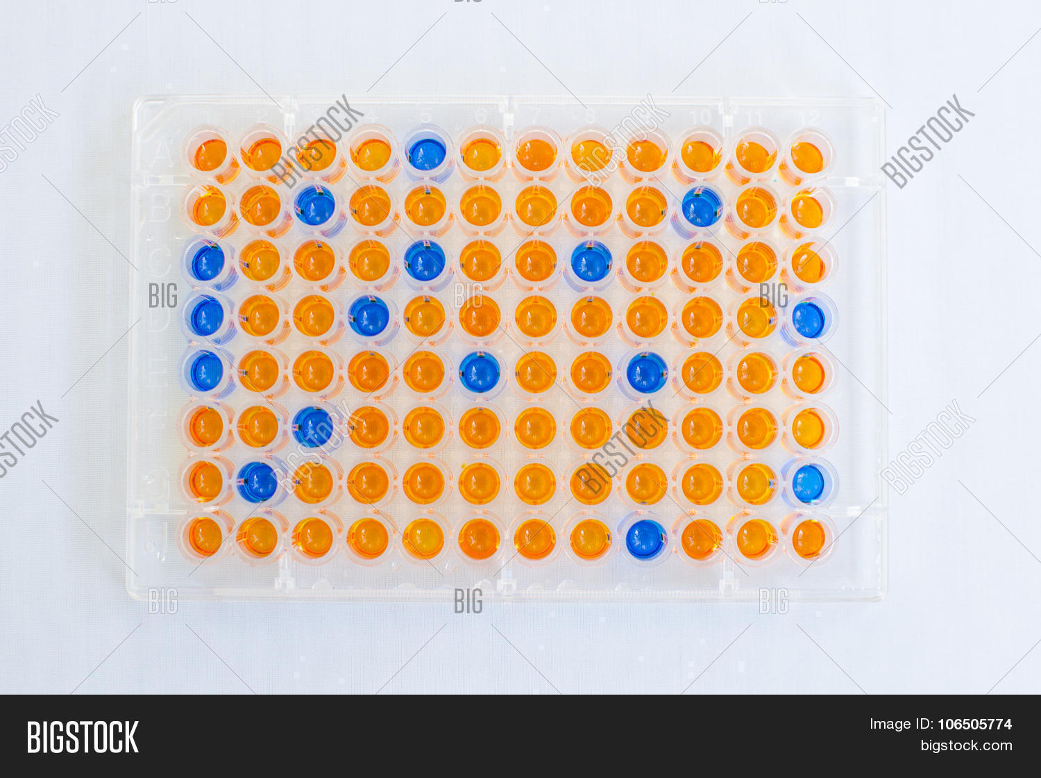 ELISA Testing Image & Photo (Free Trial) | Bigstock