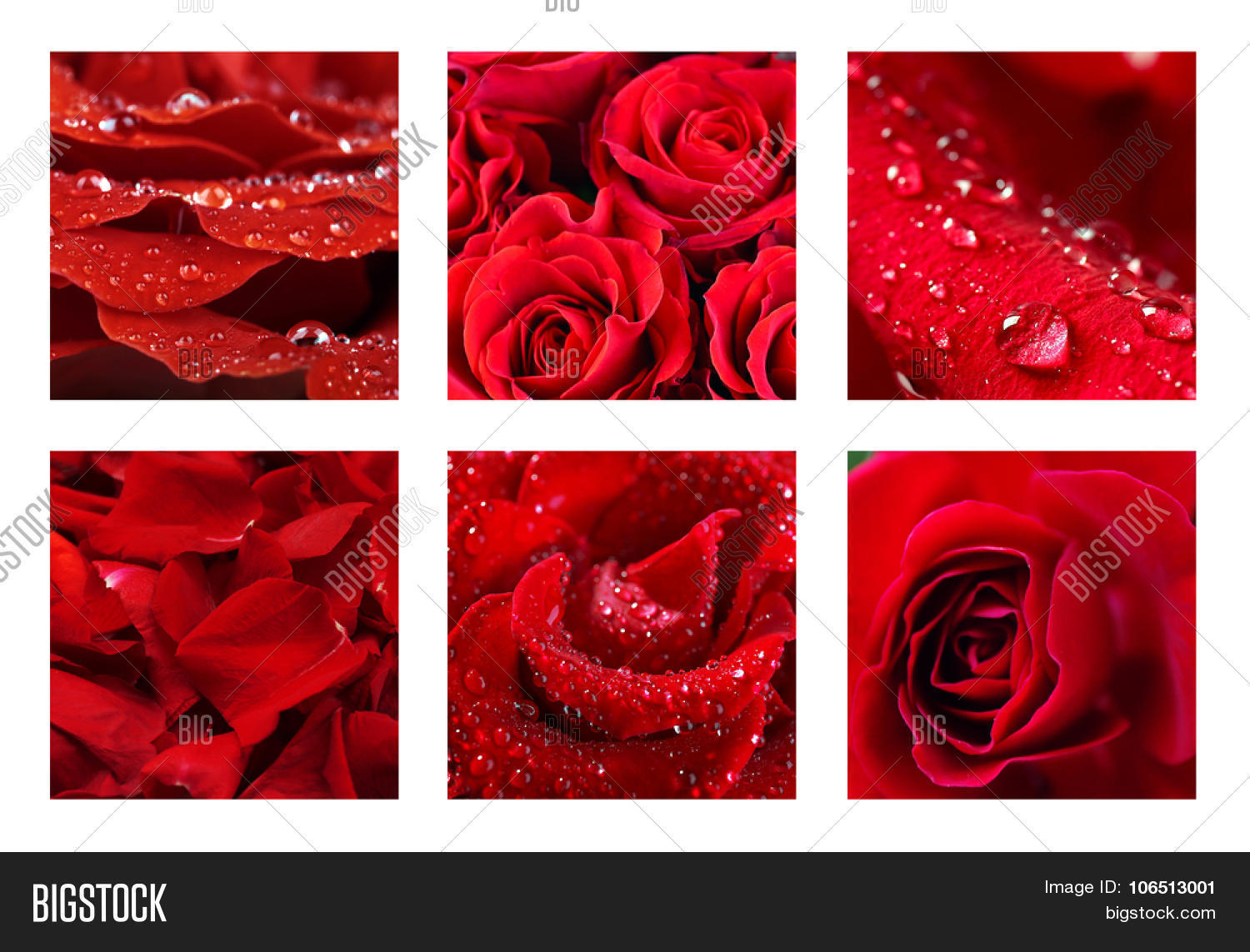 Collage Beautiful Red Image & Photo (Free Trial) | Bigstock