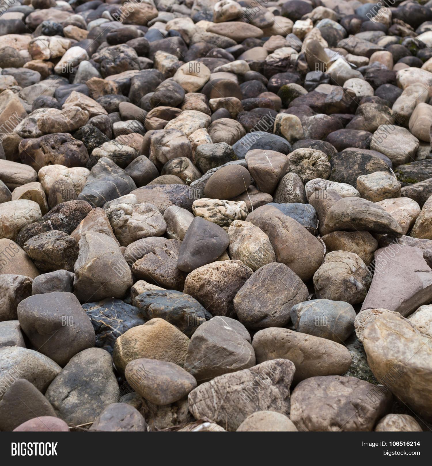 Pebble Stone Texture Image & Photo (Free Trial) | Bigstock
