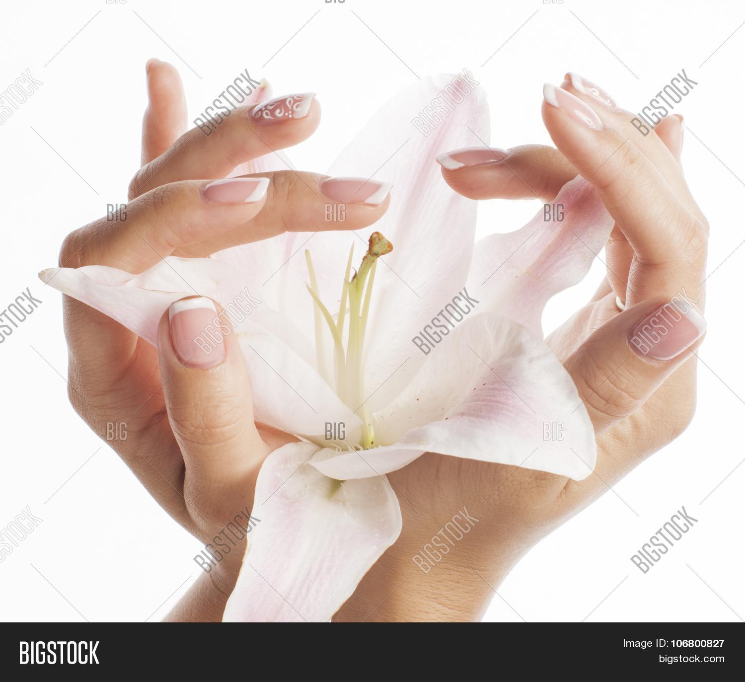Beauty Delicate Hands Image & Photo (Free Trial) | Bigstock