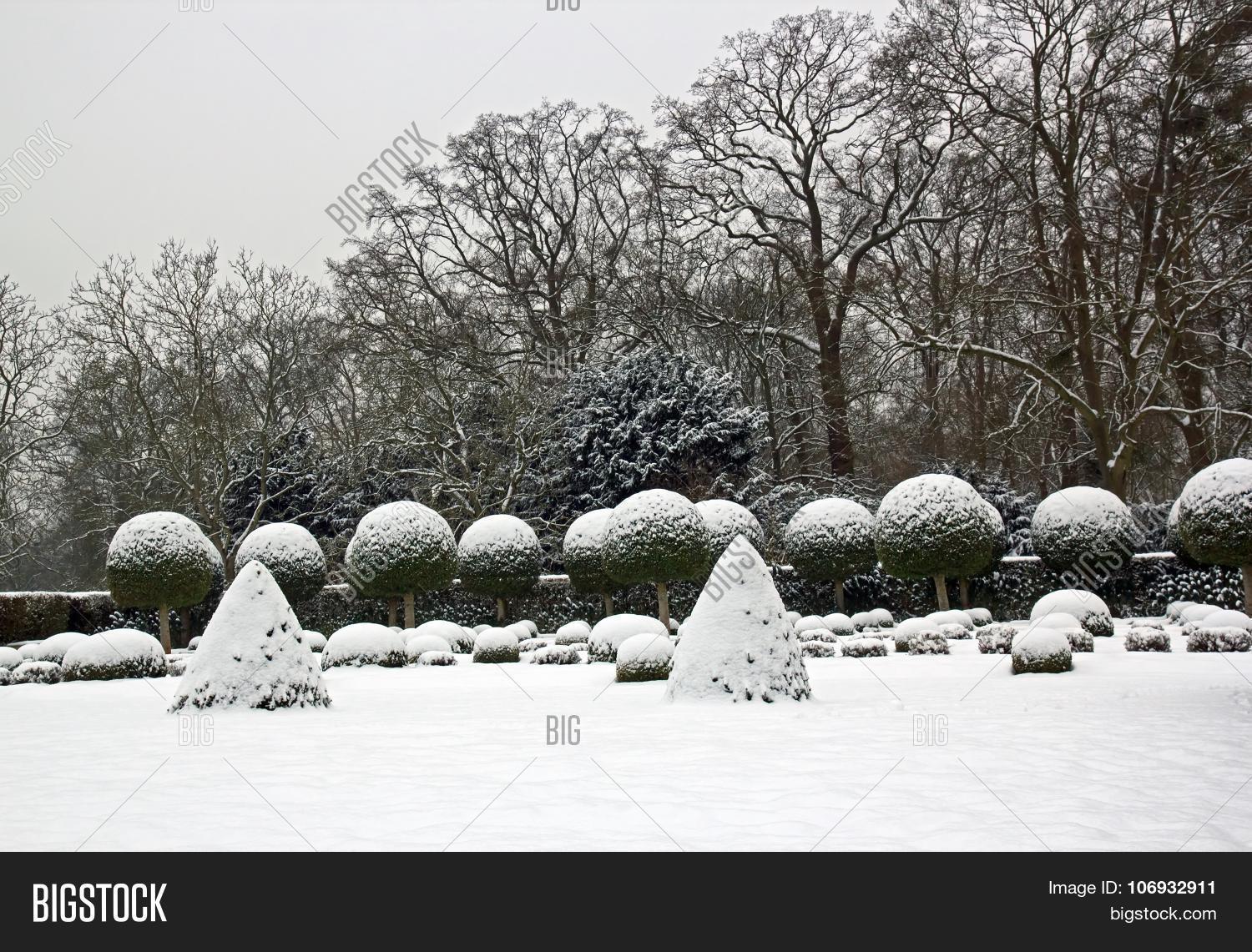 Winter Garden, Boxwood Image & Photo (Free Trial) | Bigstock