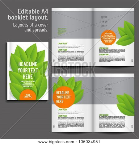 A4 Book Layout Design Vector & Photo (Free Trial) | Bigstock