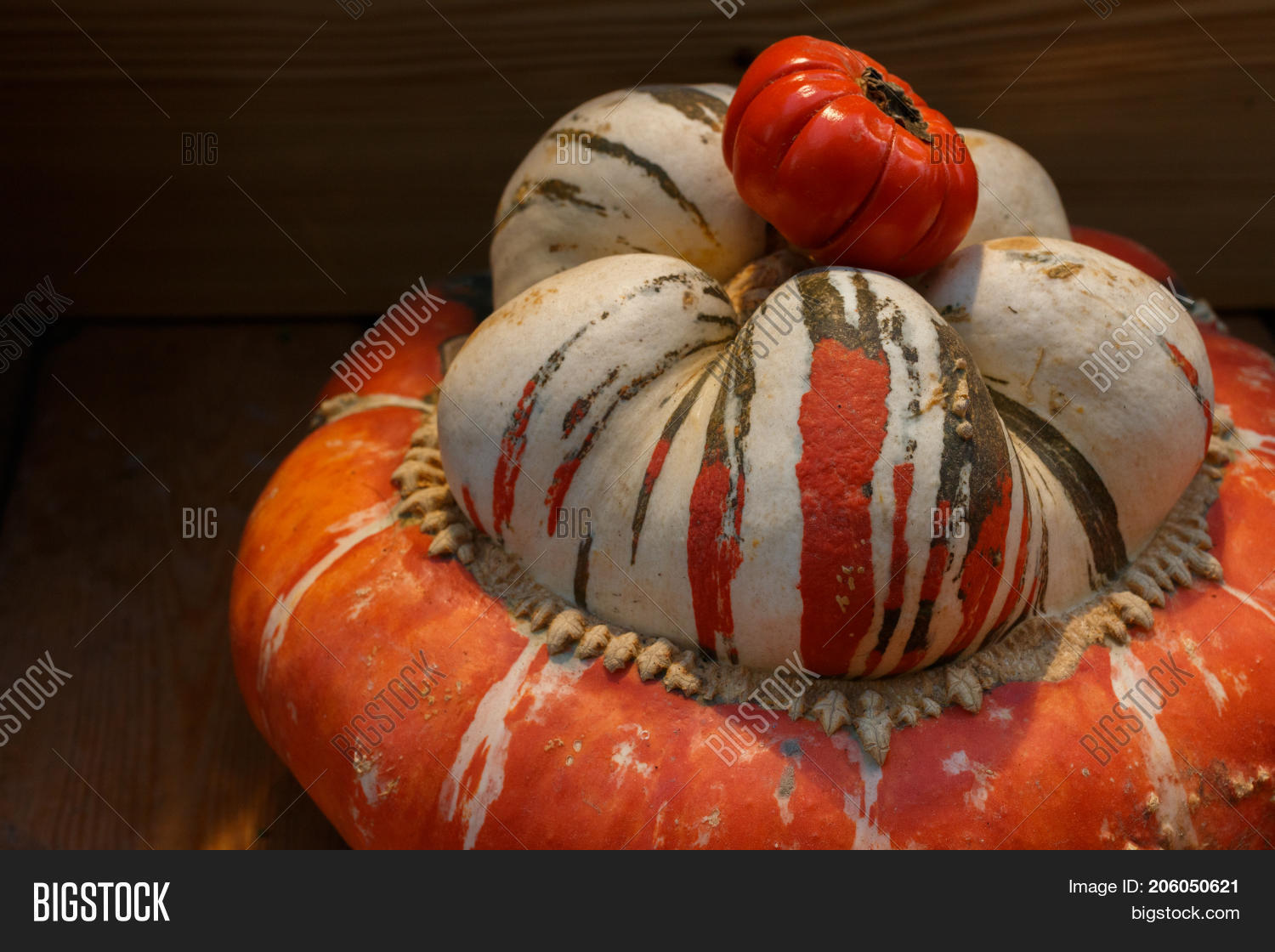 Red Pumpkin Incredible Image & Photo (Free Trial) | Bigstock