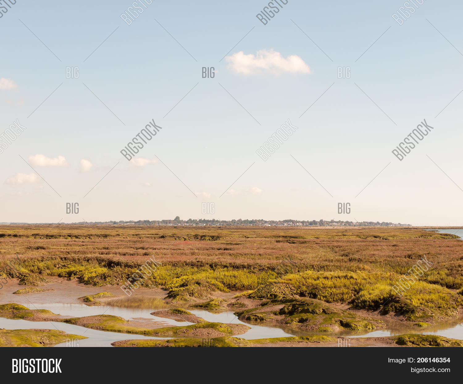 Marshland Landscape Image & Photo (Free Trial) | Bigstock