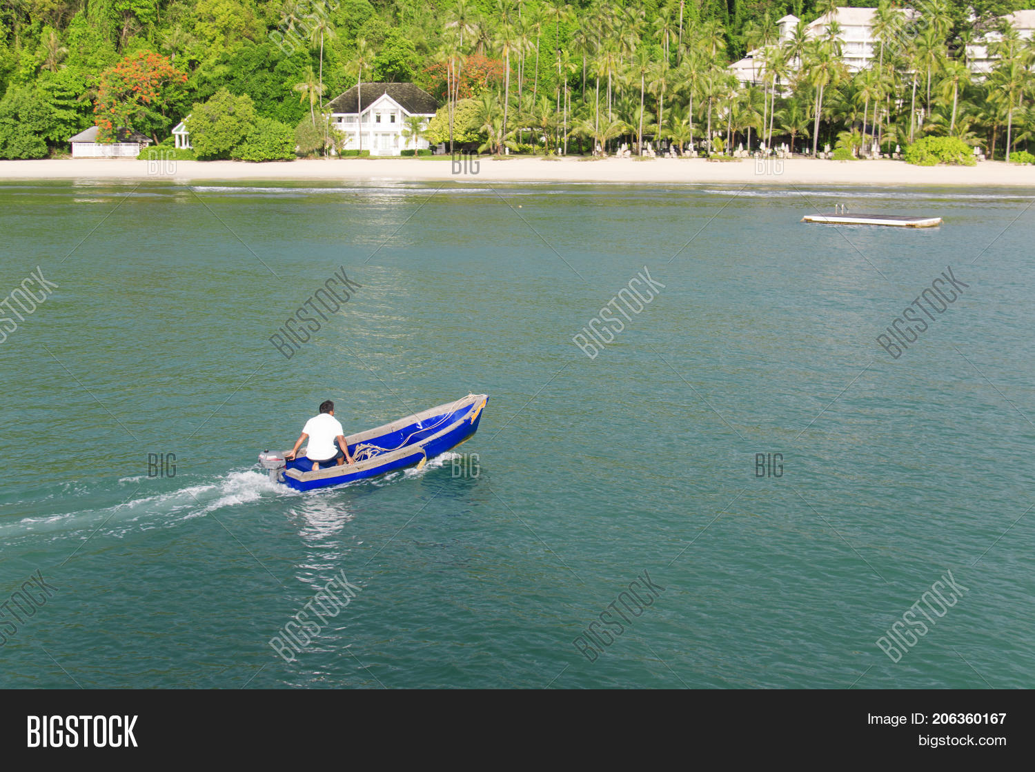 Back Skipper Image & Photo (Free Trial) | Bigstock