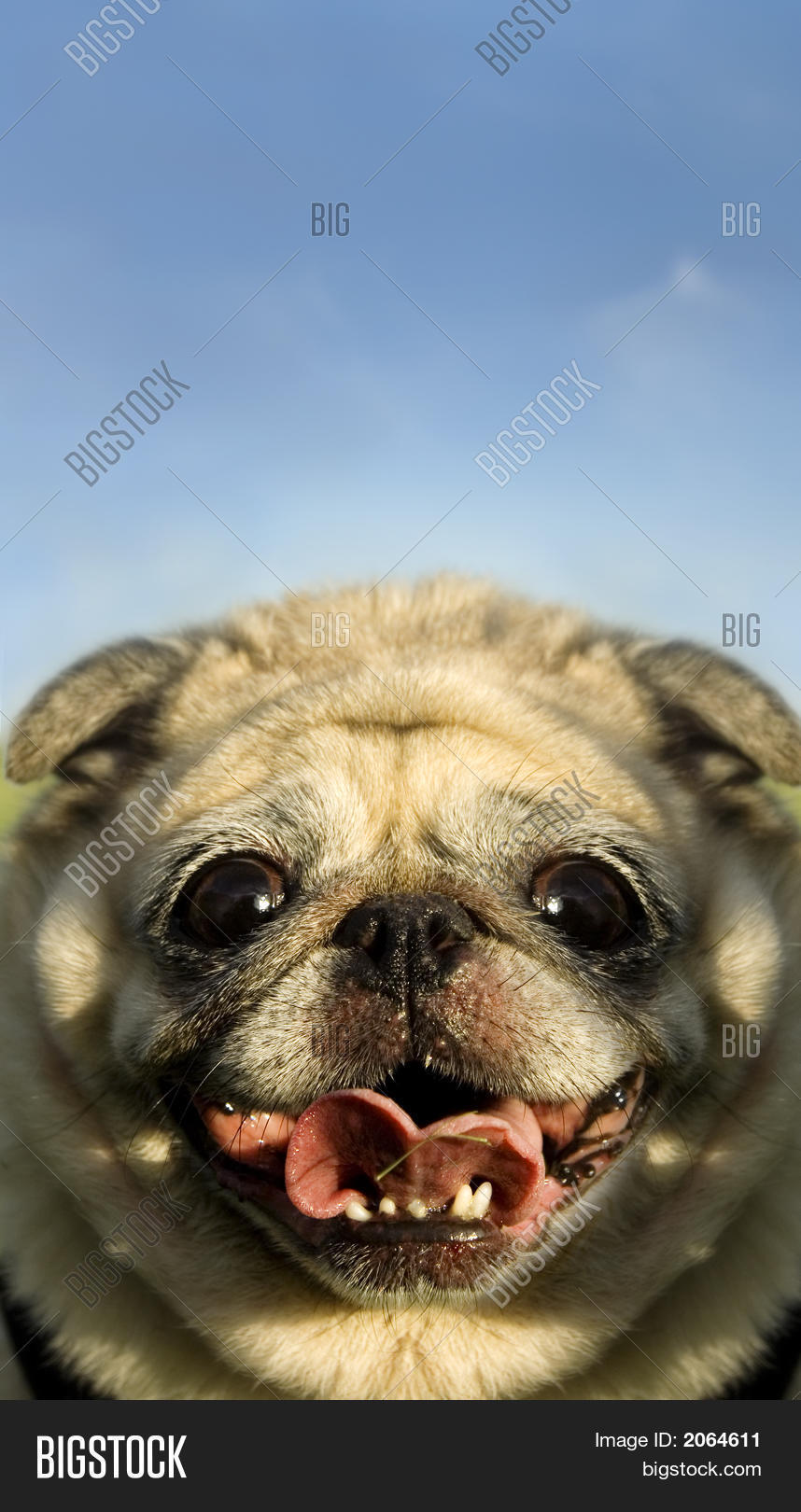 Beautiful Happy Image & Photo (Free Trial) | Bigstock