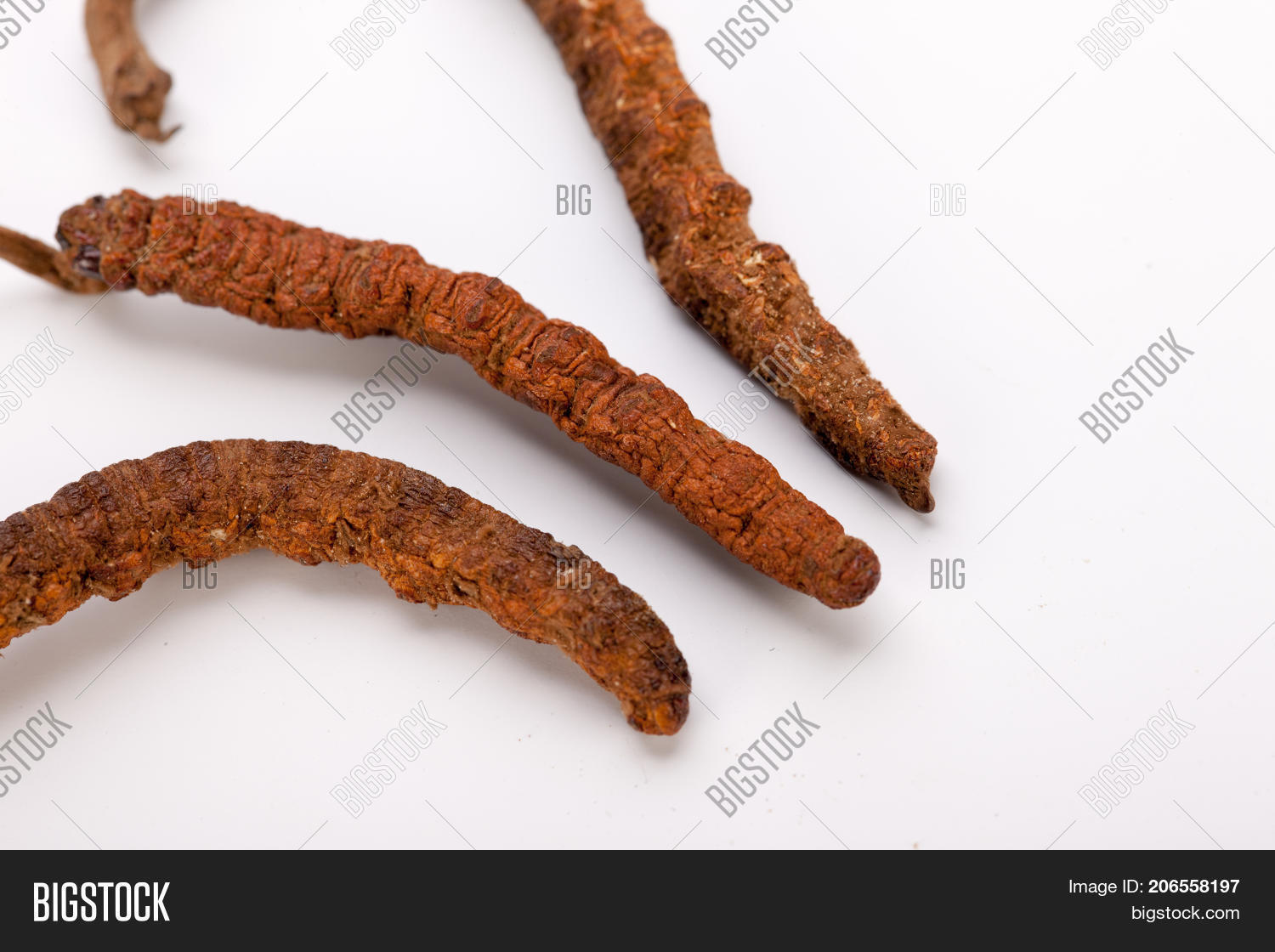 Yarsagumba Ingredient Image & Photo (Free Trial) | Bigstock