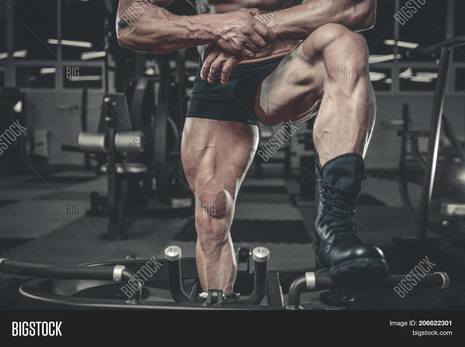 Handsome Model Young Image & Photo (Free Trial) | Bigstock