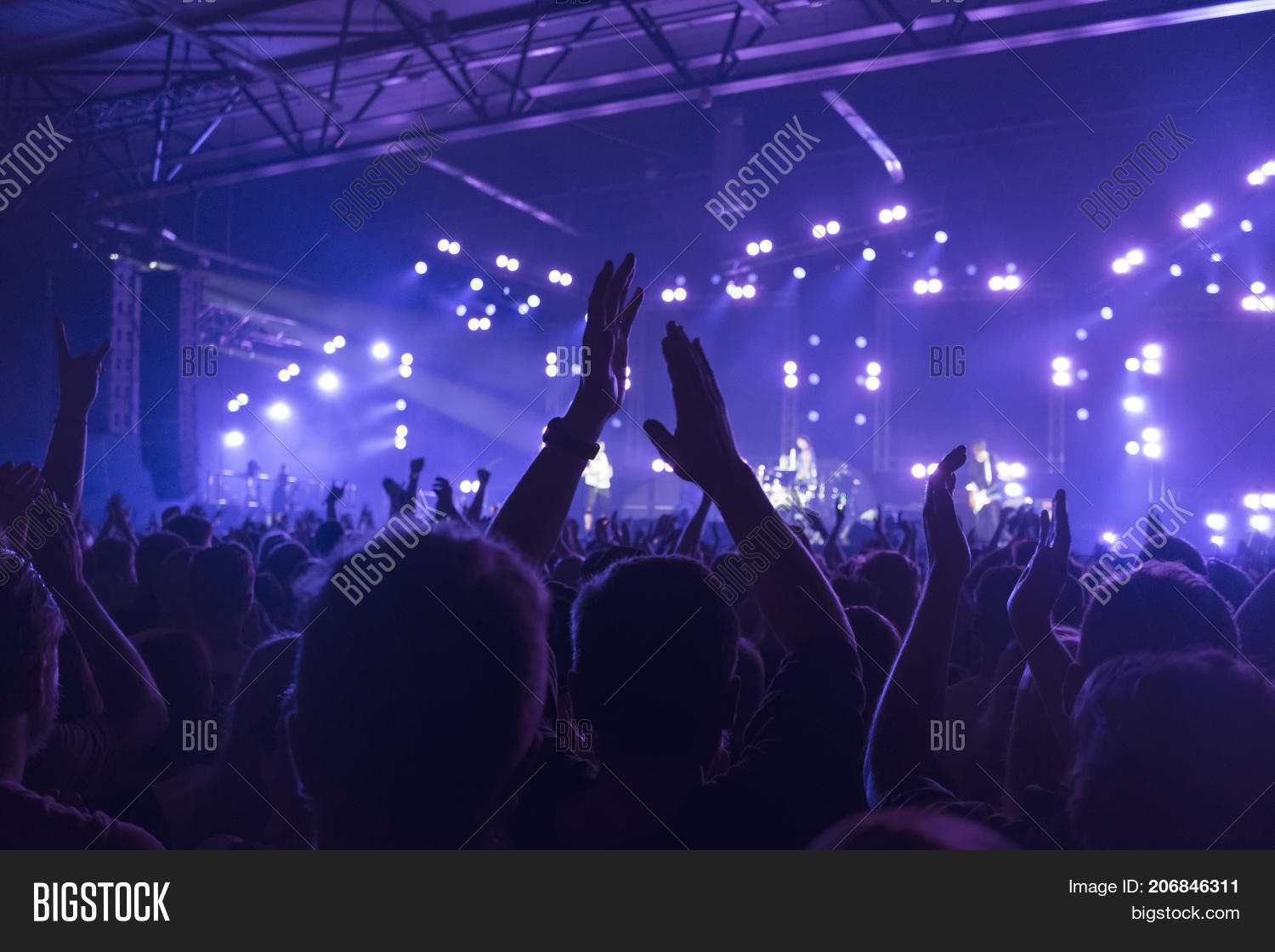 Concert Goers Image & Photo (Free Trial) | Bigstock