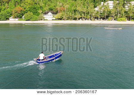 Back Skipper Image & Photo (Free Trial) | Bigstock