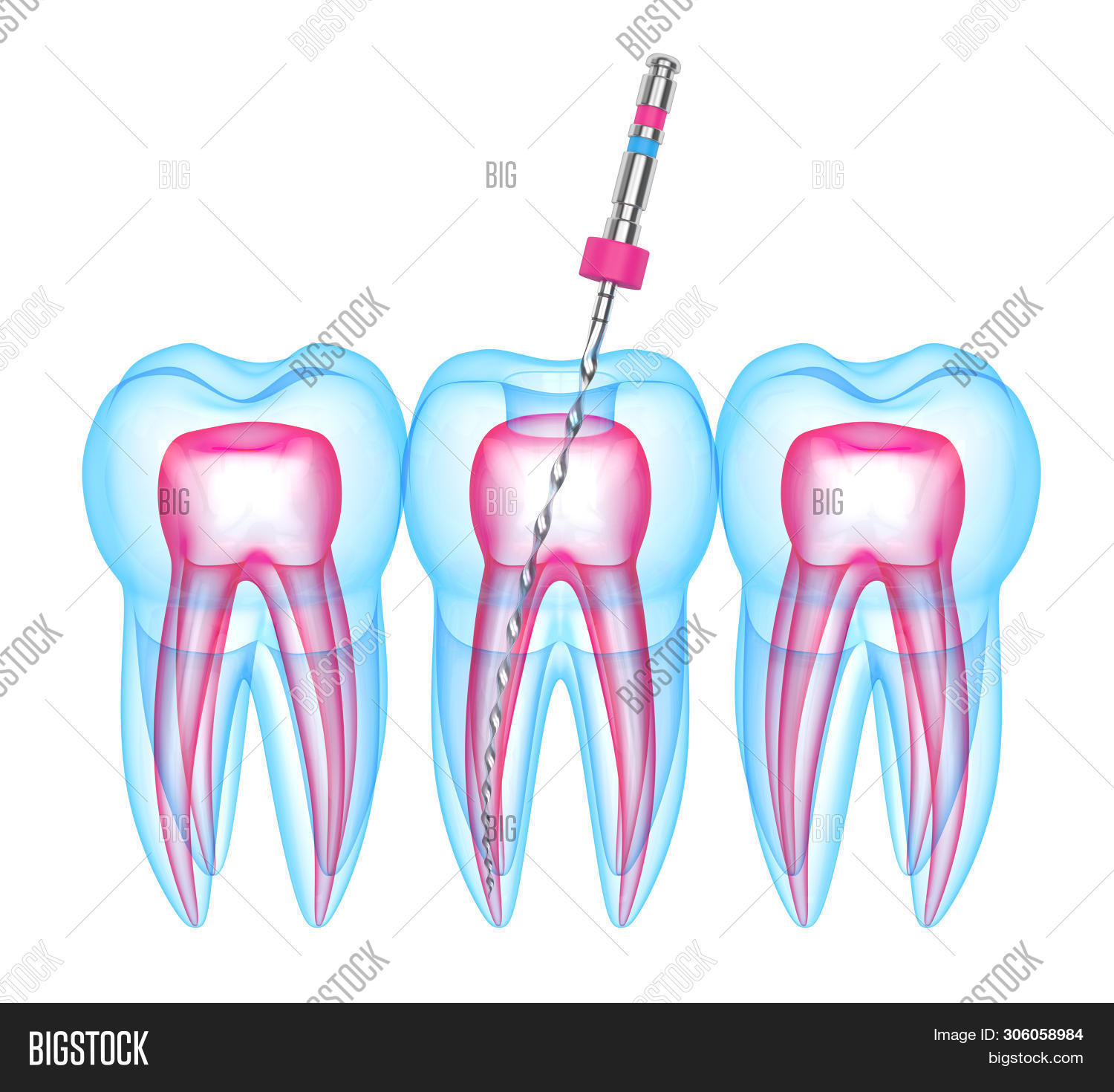 3D Render Teeth Image & Photo (Free Trial) | Bigstock