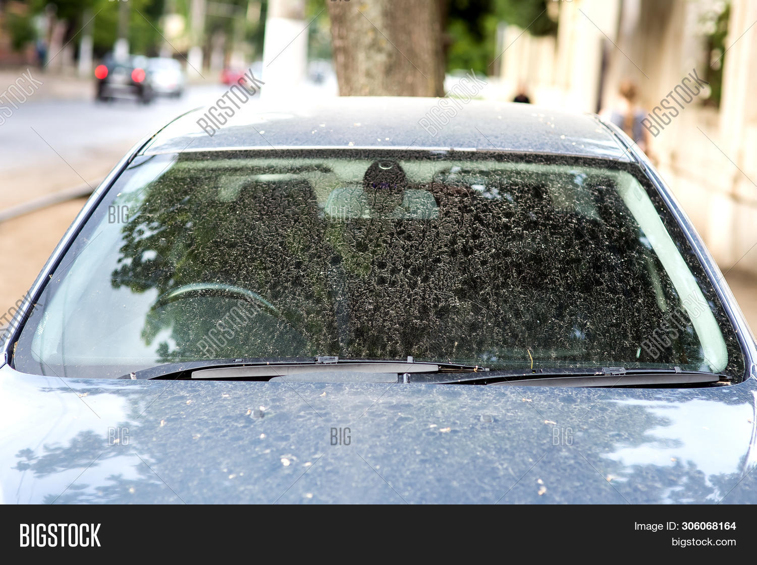 Dirty Car Front View Image & Photo (Free Trial) | Bigstock