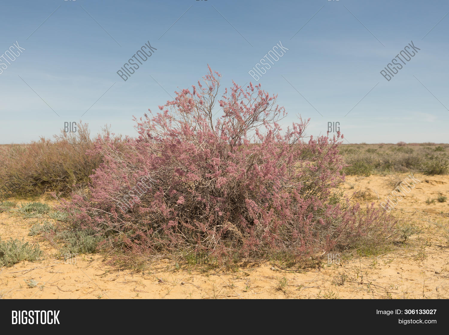 West Kazakhstan. Image & Photo (Free Trial) | Bigstock