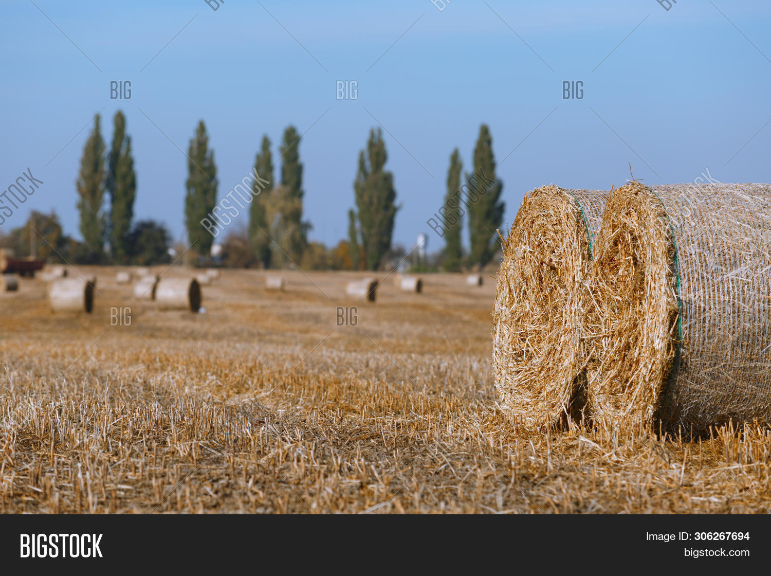 Hay Bail Harvesting Image & Photo (Free Trial) | Bigstock