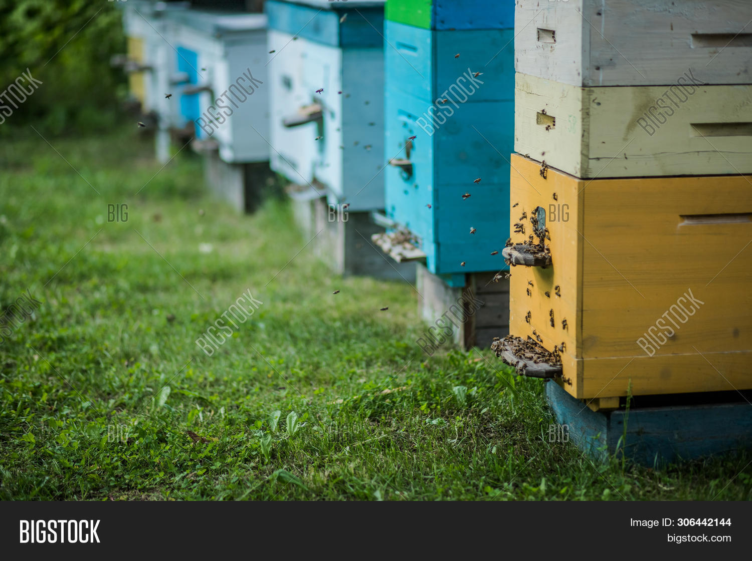 Background Beehives. Image & Photo (Free Trial) | Bigstock