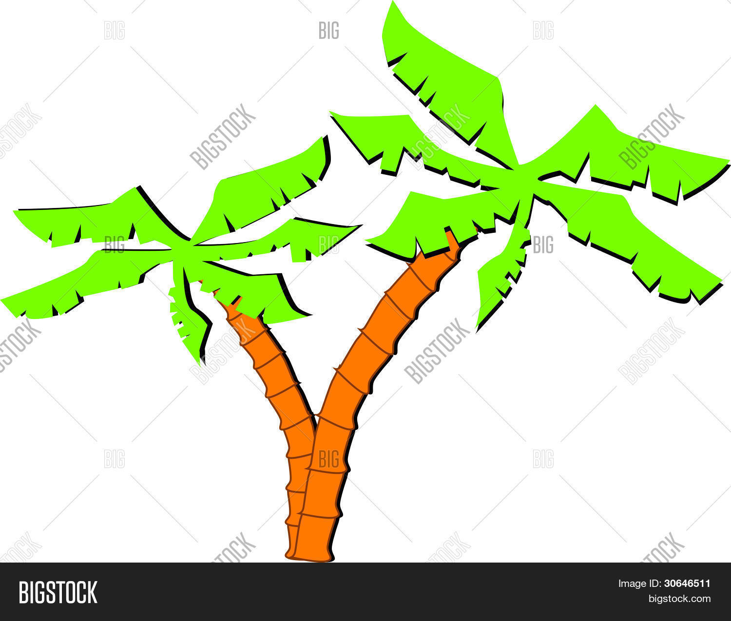 Cartoon Palm Trees Vector & Photo (Free Trial) | Bigstock