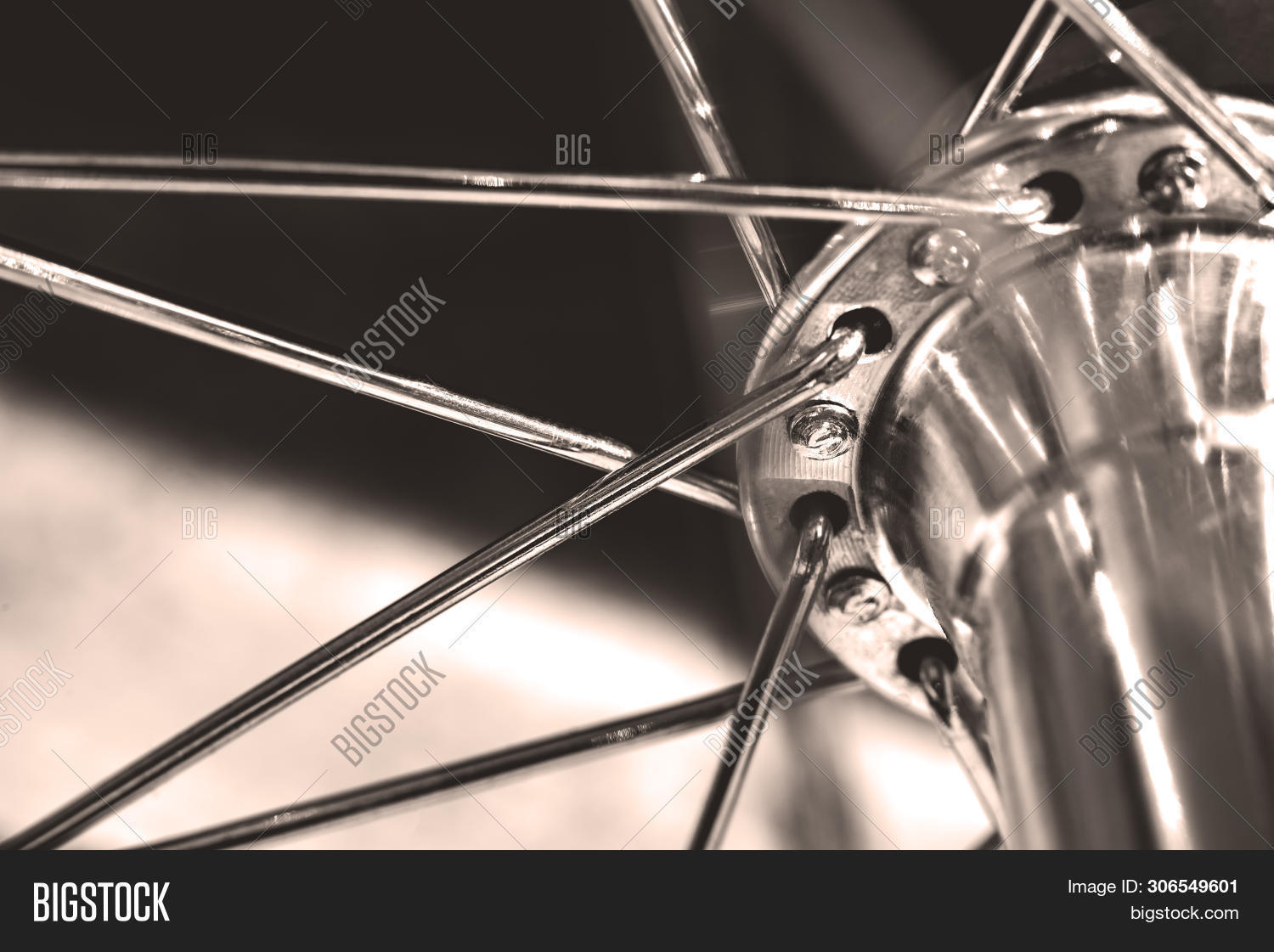 Front Bicycle Wheel Image & Photo (Free Trial) | Bigstock