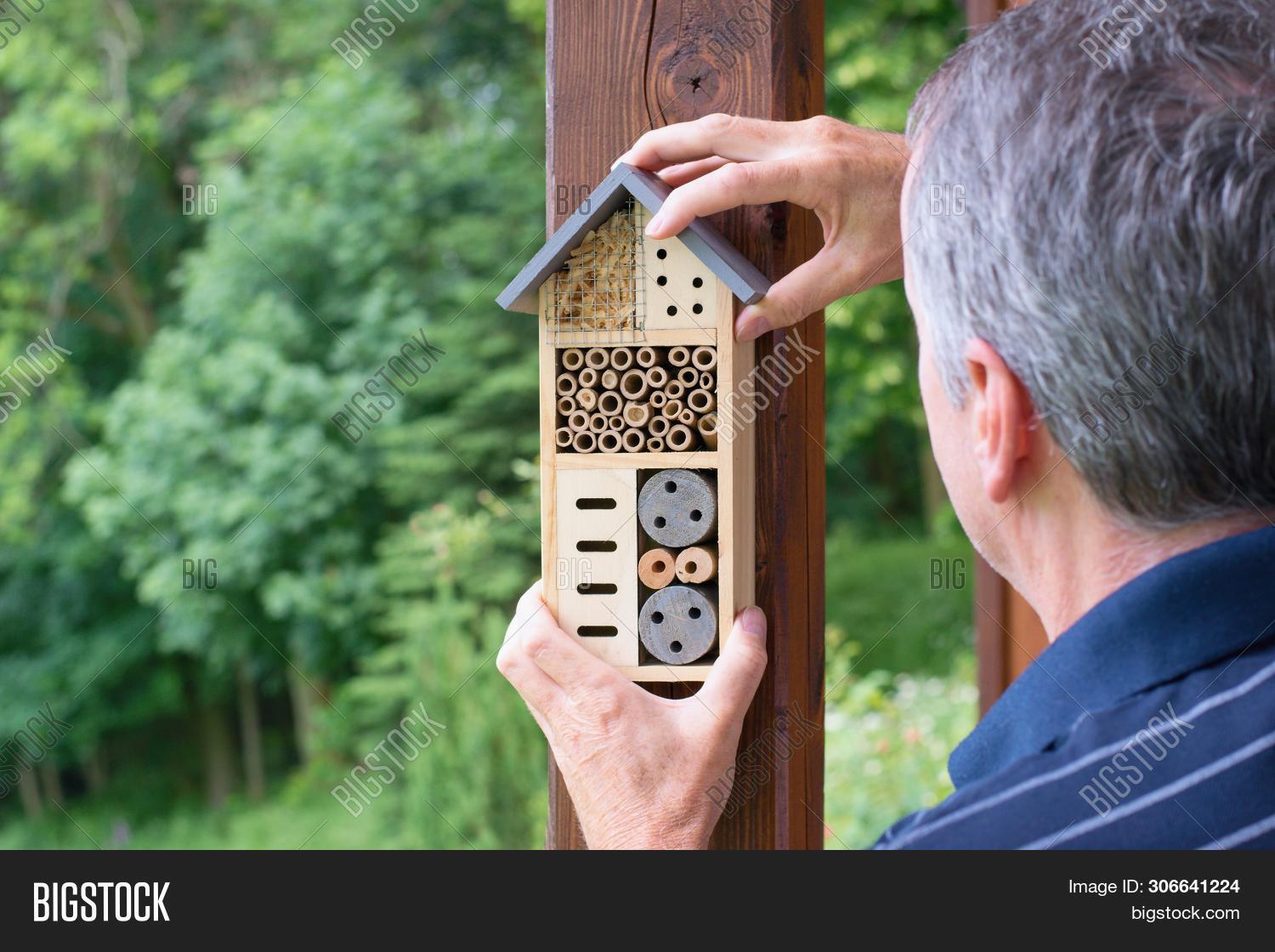 Man Installing Insect Image & Photo (Free Trial) | Bigstock