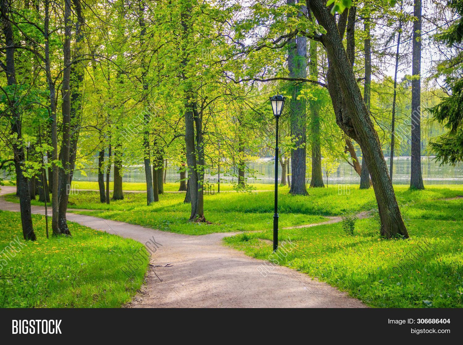 Spring Park Sunny Image & Photo (Free Trial) | Bigstock