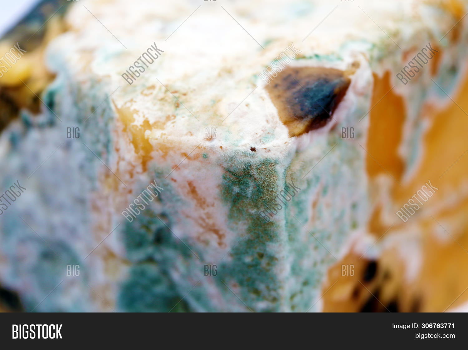 Moldy Cheese. Image & Photo (Free Trial) | Bigstock