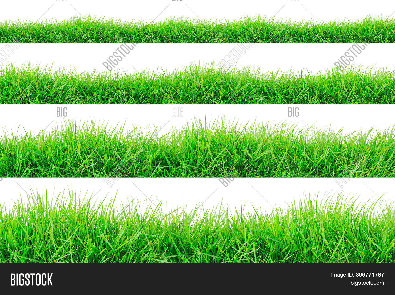 Green Grass Border Image & Photo (Free Trial) | Bigstock