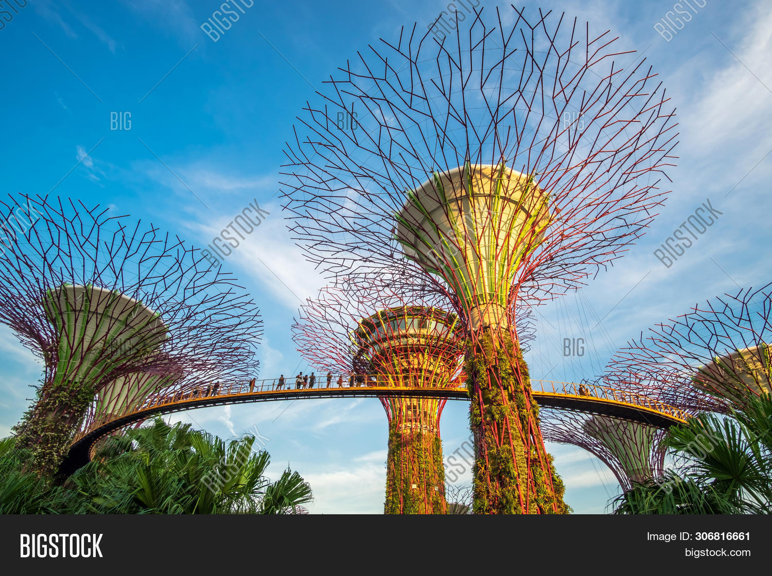 Supertree Groove Image & Photo (Free Trial) | Bigstock