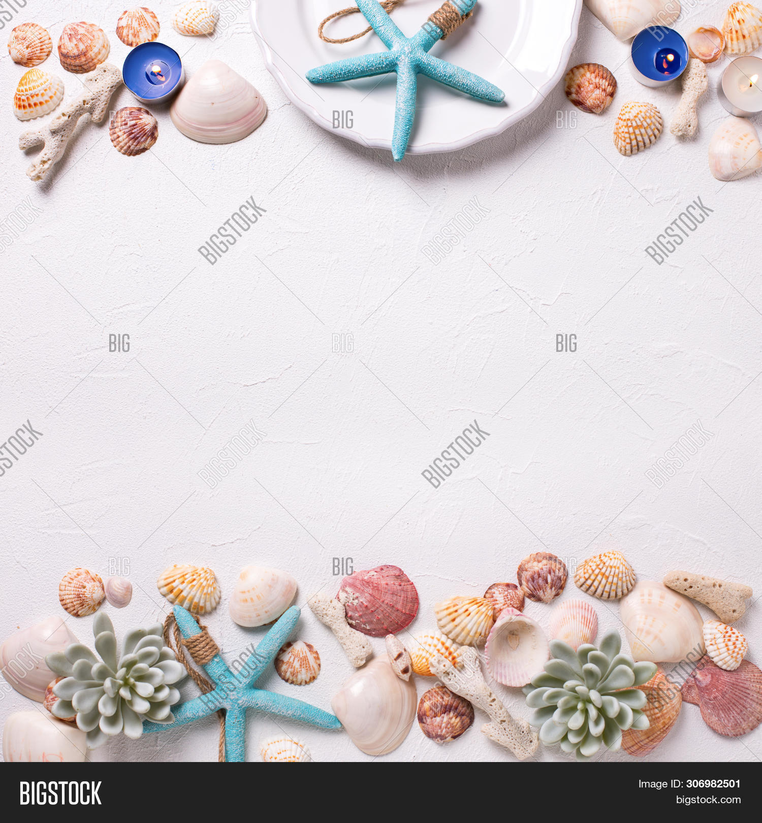 Sea Ocean Elements Image & Photo (Free Trial) | Bigstock