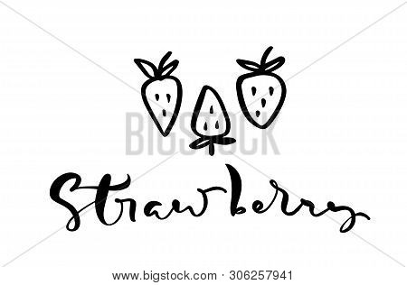 Hand Drawn Vector & Photo (Free Trial) | Bigstock