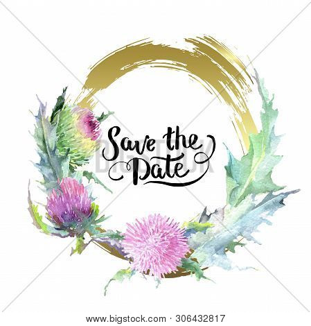 Thistle Border Images, Illustrations & Vectors (Free) - Bigstock